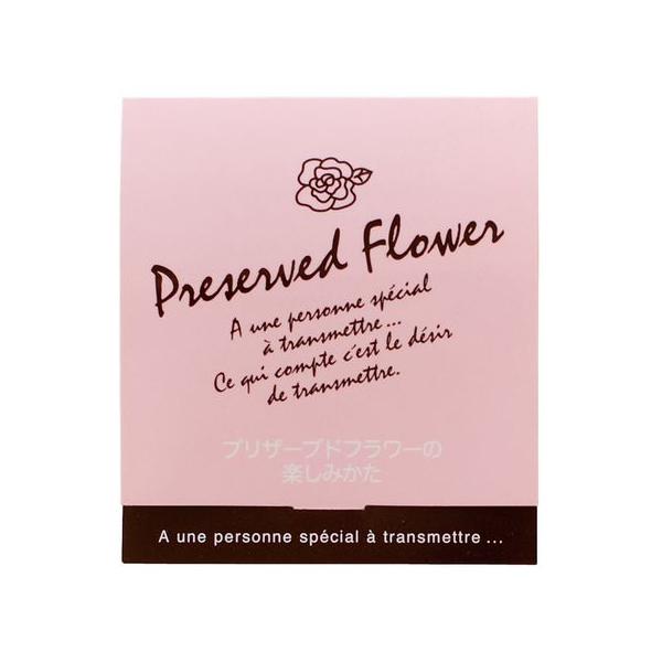 【商品番号：187-00437】/【VAR：72722】20230317newメッセージカード インストラクションカード・シール【HEADS】