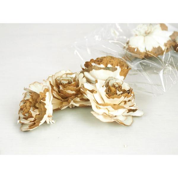 【商品番号：207-00668】/【VAR：】date20240311/ソラフラワー その他ソラフラワー【ホワイエ】