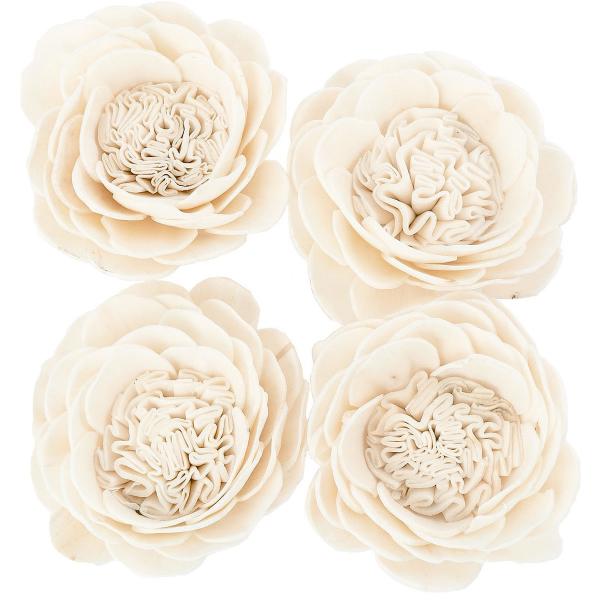 【商品番号：207-00674】/【VAR：】date20240311/ソラフラワー ソラローズ【ホワイエ】