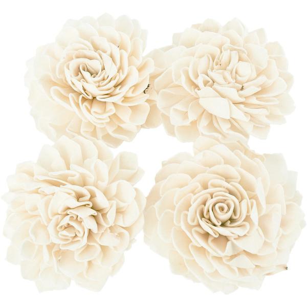 【商品番号：207-00675】/【VAR：】date20240311/bk-4009ソラフラワー ソラダリア【ホワイエ】