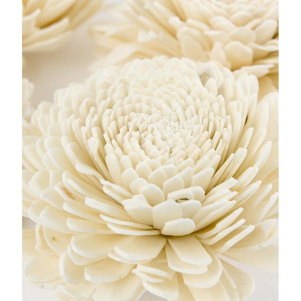 【商品番号：207-00676】/【VAR：】date20240311/ソラフラワー その他ソラフラワー【ホワイエ】