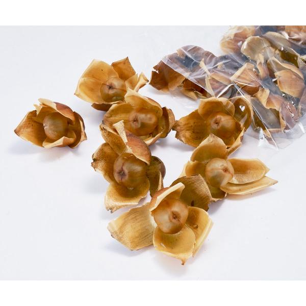 【商品番号：207-01025】/【VAR：】date20240311/ドライ実物＆フルーツ 木の実