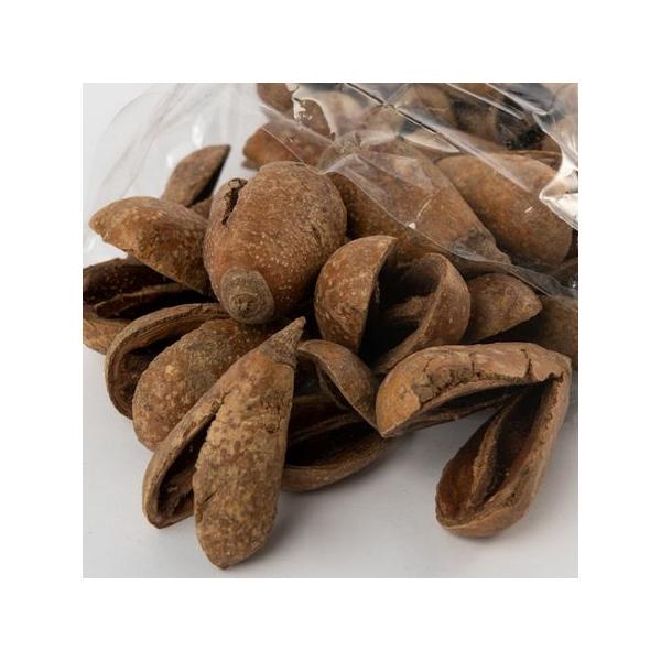 【商品番号：207-01689】/【VAR：】date20240506/ドライ実物＆フルーツ 木の実【ホワイエ】