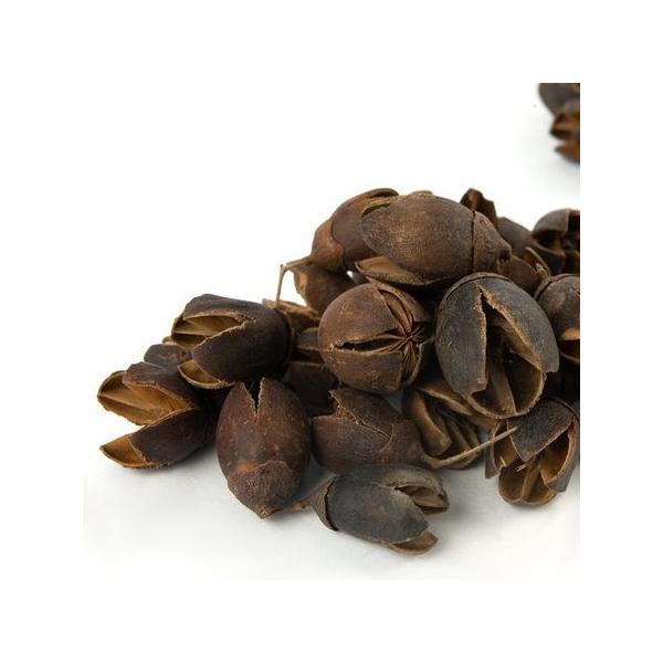 【商品番号：207-01690】/【VAR：】date20240506/ドライ実物＆フルーツ 木の実【ホワイエ】