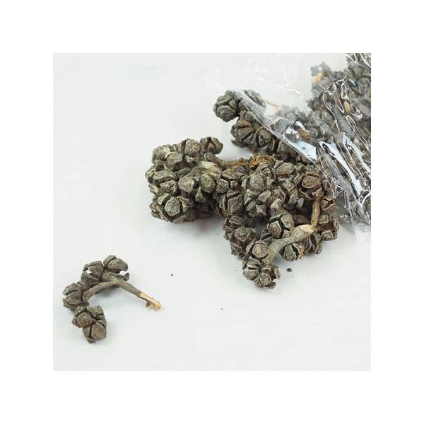 【商品番号：207-01692】/【VAR：】date20240506/ドライ実物＆フルーツ 木の実