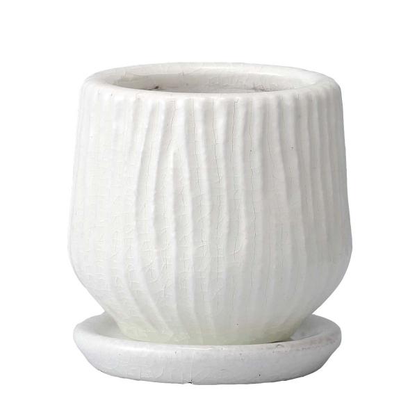 【商品番号：216-00376】/【販売単位】12個 ※表示価格は、この単位での金額となります/【VAR：84359】date20250318園芸用品 植木鉢・フラワーポット 陶器・セラミック鉢【ミュールミル】