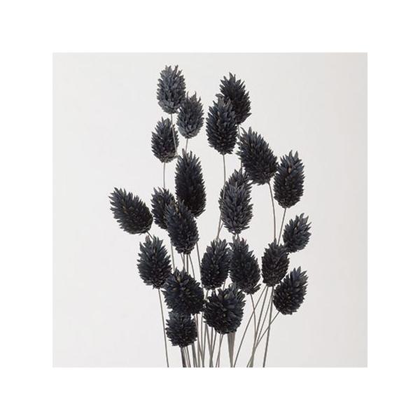 【商品番号：235-00019】/【VAR：65593】20210316newドライフラワー花材 ポアプランツ【東花】