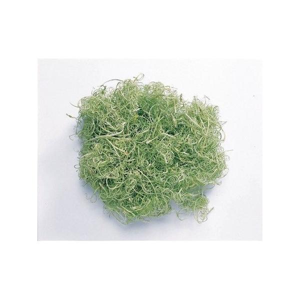 【商品番号：235-00047】/【VAR：4611】20210316new/bk-3017ドライ葉物 モス・苔