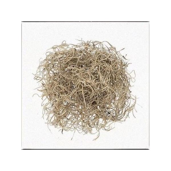 【商品番号：235-00061】/【VAR：4603】20210316new/bk-3017ドライ葉物 モス・苔