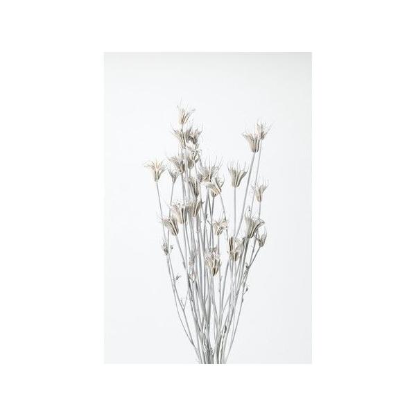 【商品番号：235-00079】/【VAR：65598】20210316new/bk-3016ドライフラワー花材 ニゲラ