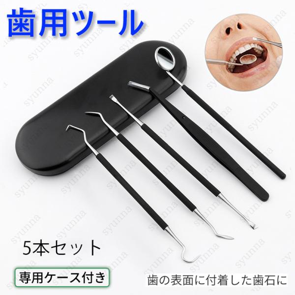 【商品説明】歯石や汚れを簡単チェック＆ケア！最適なプロ仕様のツール　5本セットです。手軽に 本格デンタルケアができます。持ち運びにも便利な専用ケース付きです。きっちり収まるので、安全かつ清潔に収納することができます。【セット内容】・鎌型aス...