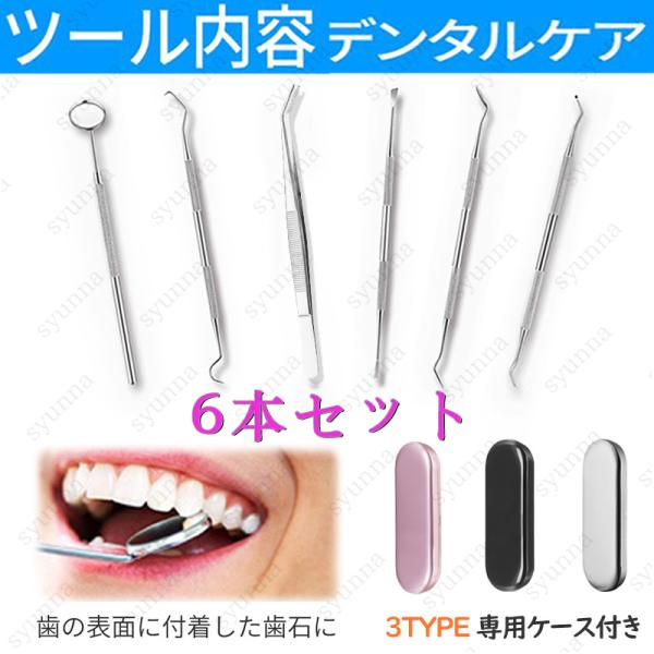 ★ご覧頂き有難うございます。● 6本セット 歯石や汚れを簡単チェック＆ケア！専用ケース付き! ! 【商品説明】※選べる3type収納ケース※手軽に 本格デンタルケアができます。※持ち運びにも便利な専用ケース付きです。※きっちり収まるので、安...