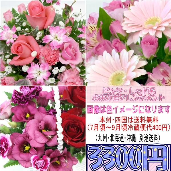 送料：本州四国は送料無料（北海道・九州は送料660円・沖縄は送料1,650円）夏期の期間（冷蔵便代400円）ご用途：誕生日・記念日・結婚祝い・結婚記念日・お見舞い・お祝いなど様々なご用途形態：アレンジメント商品サイズ： 幅：約23cm×高さ...