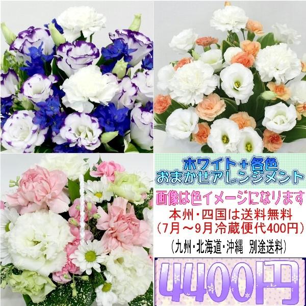 【翌日配達「あすつく」・画像配信 】対応商品送料：本州四国は送料無料（北海道・九州は送料660円・沖縄は送料1,650円）夏期の期間（冷蔵便代400円）こちらのアレンジメントは100サイズのボックスを使用し、冷蔵便代が400円かかります。ご...