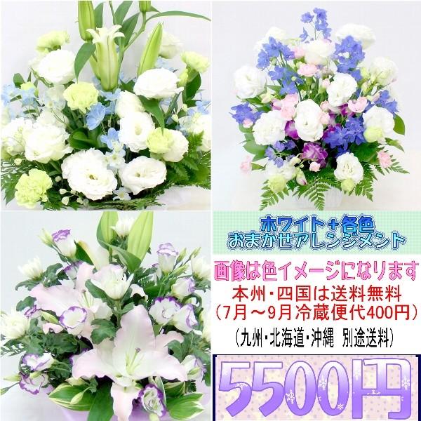 【翌日配達「あすつく」・画像配信 】対応商品送料：本州四国は送料無料（北海道・九州は送料660円・沖縄は送料1,650円）夏期の期間（冷蔵便代400円）ご用途：供花（お供え・命日・法事・法要・お盆・お彼岸・お悔やみ・ペットのお供え）など様々...