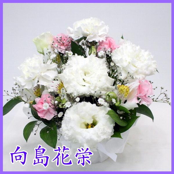 ご用途：供花（お供え・命日・法事・法要・お盆・お彼岸・ペットのお供え）形態：お供え花アレンジメント商品サイズ： 奥行：約23cm×幅：約25cm×高さ：約25cm花材：メイン　カーネーション・トルコキキョウ・スプレーカーネーション　その他　...