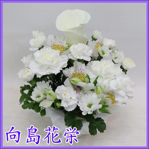 ご用途：供花（お供え・命日・法事・法要・お盆・お彼岸・ペットのお供え）形態：お供え花アレンジメント商品サイズ： 奥行：約22cm×幅：約24cm×高さ：約27cm花材：メイン　カラー・カーネーション　その他　スプレーカーネーション・アルスト...
