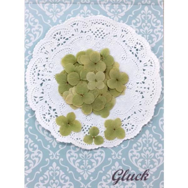 自然色グリーンのアナベルを35枚以上のパックにしてお届けします。お求め頂き安い少量パックにしてお届けします。 ※梱包・輸送中に折れや割れが生ずる場合もございます。ご神経質な方はご遠慮ください。できる限り当日出荷をいたしますが、ご注文いただい...