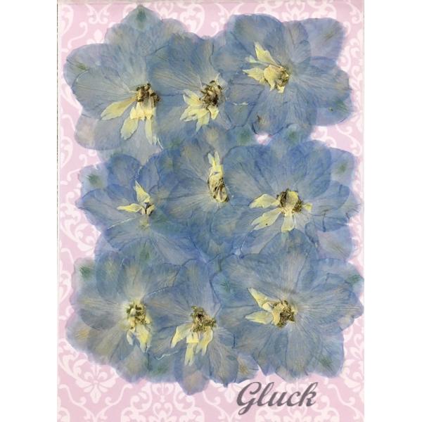 自然色のデルフィニウム・アクアブルーの押し花9枚入りです。お求め頂き安い少量パックにしてお届けします。 できる限り当日出荷をいたしますが、ご注文いただいてからフレッシュなものをパックいたしますので、翌営業日の発送になる場合もございます。1回...