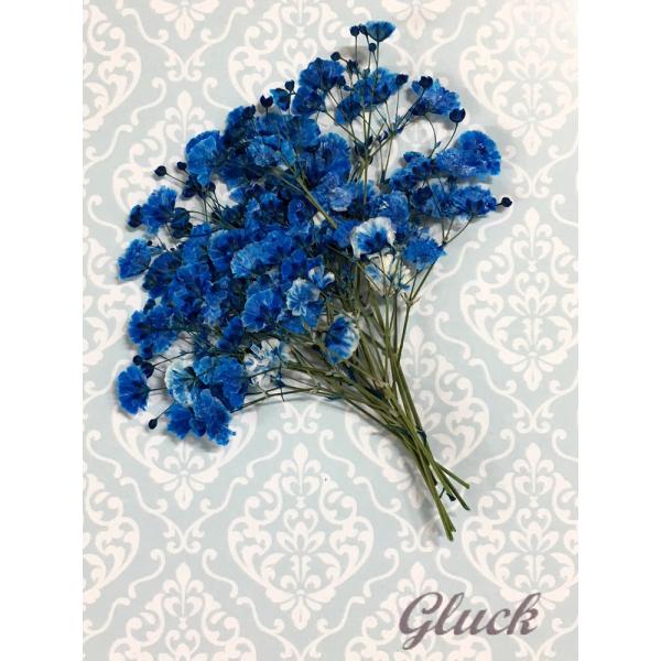 吸い上げ着色したかすみ草約10本入りです。お求め頂き安い少量パックにしてお届けします。できる限り当日出荷をいたしますが、ご注文いただいてからフレッシュなものをパックいたしますので、翌営業日の発送になる場合もございます。1回のご注文で別途送料...