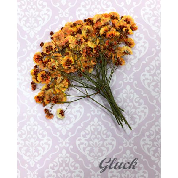 吸い上げ着色したかすみ草約10本入りです。お求め頂き安い少量パックにしてお届けします。 できる限り当日出荷をいたしますが、ご注文いただいてからフレッシュなものをパックいたしますので、翌営業日の発送になる場合もございます。1回のご注文で別途送...