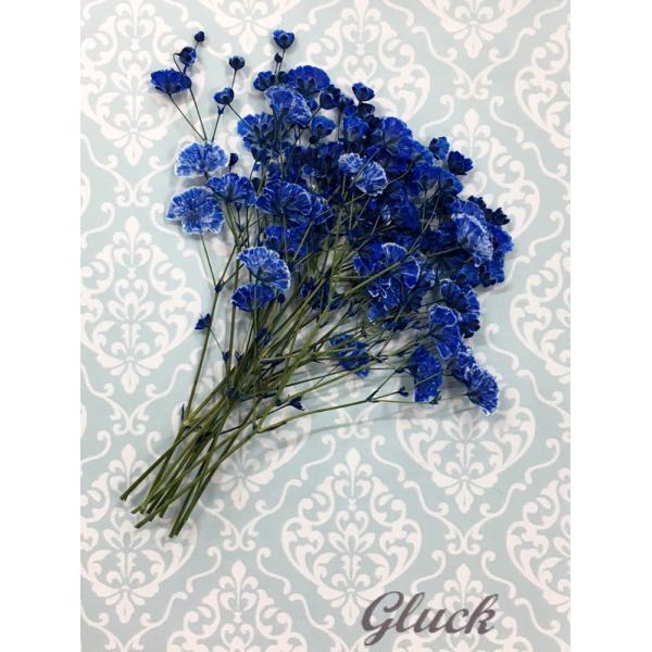 吸い上げ着色したかすみ草約10本入りです。お求め頂き安い少量パックにしてお届けします。 できる限り当日出荷をいたしますが、ご注文いただいてからフレッシュなものをパックいたしますので、翌営業日の発送になる場合もございます。1回のご注文で別途送...