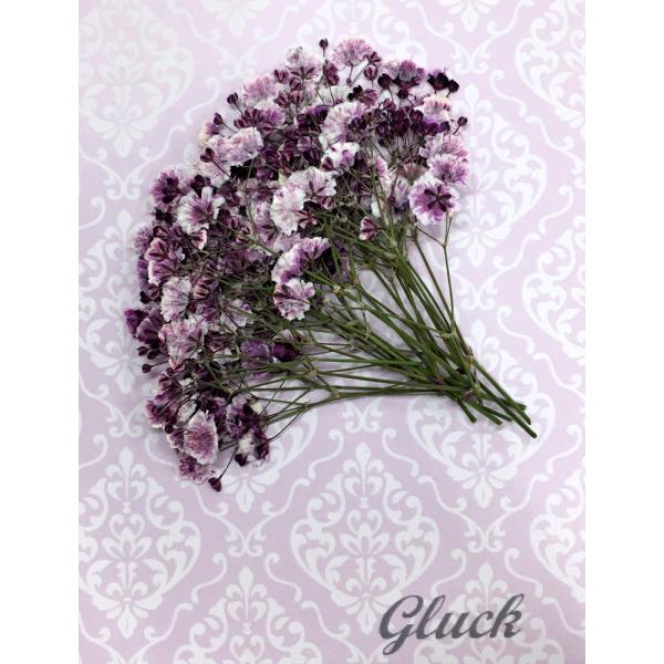 吸い上げ着色したかすみ草約10本入り。お求め頂き安い少量パックにしてお届けします。 できる限り当日出荷をいたしますが、ご注文いただいてからフレッシュなものをパックいたしますので、翌営業日の発送になる場合もございます。1回のご注文で別途送料（...