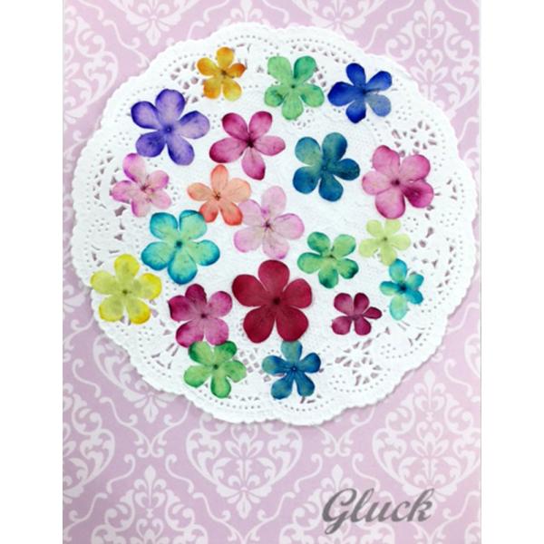 吸い上げ着色した オオテマリmix　約20枚　カラフルなお色をパックにしてお届けします。※合計枚数は約20枚ですが、色ごとの枚数は画像と同一ではございません。また、お色のご指定はできかねます。何卒予めご了承くださいませ。できる限り当日出荷を...