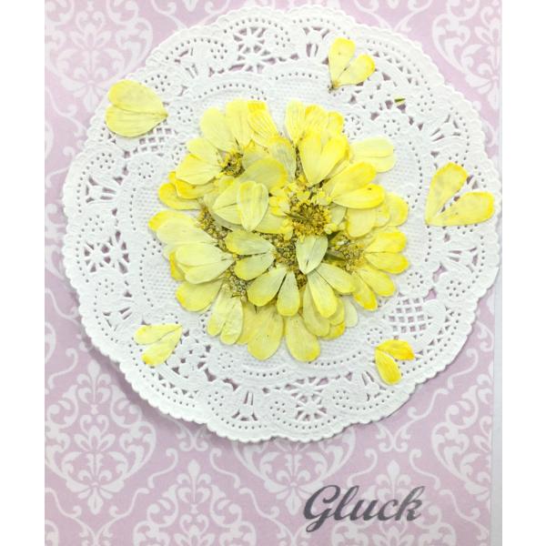 吸い上げ着色したオルラヤレースフラワー（イエロー）の花びらをパックにしてお届けします。ハート型の花びらがとてもかわいいです。中央の花芯部分はレースフラワーとしてもご使用頂けます。できる限り当日出荷をいたしますが、ご注文いただいてからフレッシ...