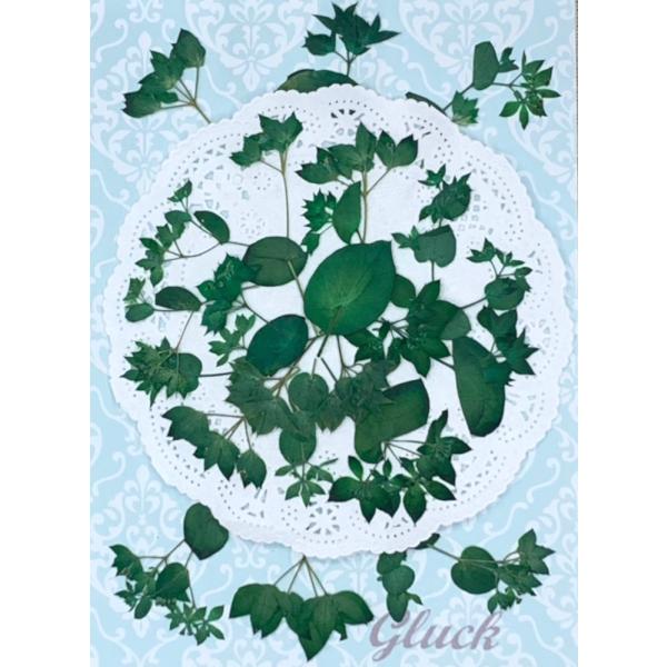 吸い上げ着色したブプレウルムの小さめサイズの茎付き約20本入りです。お求め頂き安い少量パックにしてお届けします。できる限り当日出荷をいたしますが、ご注文いただいてからフレッシュなものをパックいたしますので、翌営業日の発送になる場合もございま...