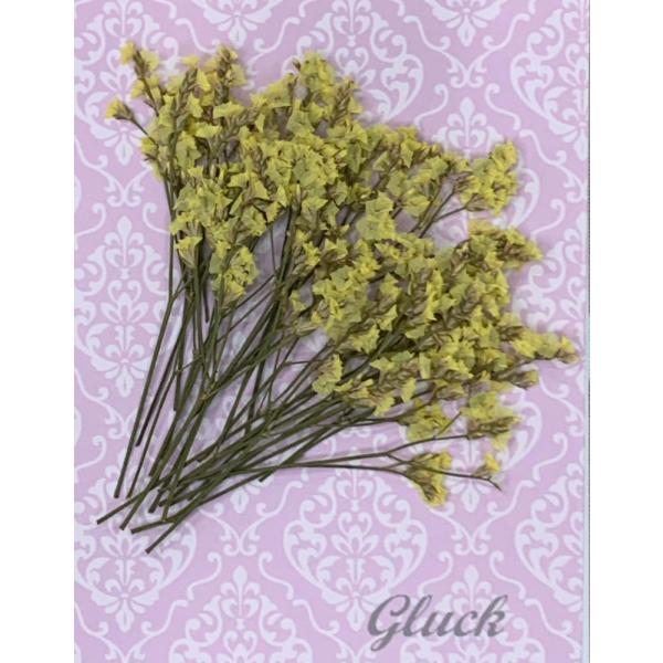 自然色のハイブリッドスターチスイエローの押し花約20本入りです。お求め頂き安い少量パックにしてお届けします。 できる限り当日出荷をいたしますが、ご注文いただいてからフレッシュなものをパックいたしますので、翌営業日の発送になる場合もございます...