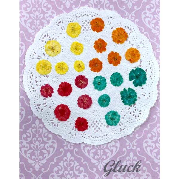 吸い上げ着色した八重コデマリ、合計24枚のセットです（スカーレット、イエロー、オレンジ、ミント各6枚ずつ）。お求め頂き安い少量パックにしてお届けします。 できる限り当日出荷をいたしますが、ご注文いただいてからフレッシュなものをパックいたしま...