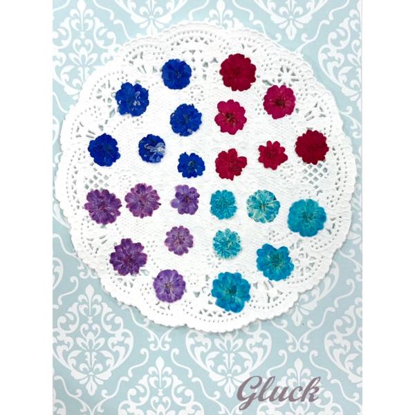 優しいパステルカラーに吸い上げ着色した八重コデマリ、合計24枚のセットです（ロイヤルブルー、ルビー、ロイヤルパープル、スカイブルー各6枚ずつ）。お求め頂き安い少量パックにしてお届けします。 できる限り当日出荷をいたしますが、ご注文いただいて...