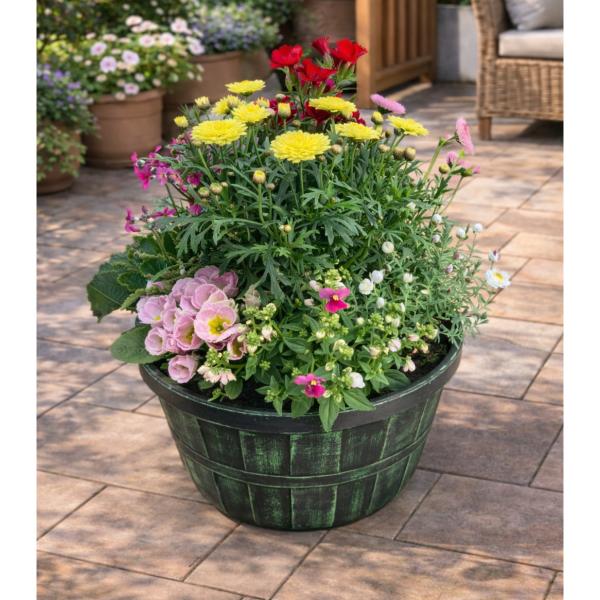 【送料無料（一部地域を除く）】北海道・沖縄・離島の方はお届けまでにお時間がかかるためご注文頂けません。ご注文をショップにてキャンセルさせて頂ます。鉢はアンティーク柄9号、グリーン（4色展開）お花の種類はご選択いただけません。ラッピングはお受...