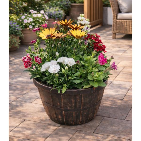 【送料無料（一部地域を除く）】北海道・沖縄・離島の方はお届けまでにお時間がかかるためご注文頂けません。ご注文をショップにてキャンセルさせて頂ます。鉢はアンティーク柄9号、レッド（4色展開）ラッピングはお受けできかねますが、メッセージカードは...