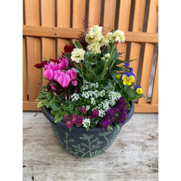 【送料無料（一部地域を除く）】北海道・沖縄・離島の方はお届けまでにお時間がかかるためご注文頂けません。ご注文をショップにてキャンセルさせて頂ます。鉢はリーフ柄9号、グリーン（4色展開）お花の種類はご選択いただけません。ラッピングはお受けでき...