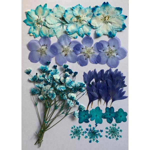 押し花をミックスでお入れしています。こちらの押し花とUVレジンを使用してオリジナルのスマホケースや名刺入れが作成できます。オリジナルのデザインを作成することが可能です。在庫によって入る押し花が変わります。梱包は簡易梱包です。追跡可能メール便...