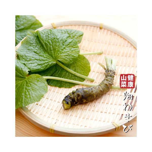 ワサビ 苗 【山菜 畑わさび】 4号ポット苗 山葵 苗木 野菜 野菜苗自然の恵み。健康山菜！ワサビの語源は様々ですが、「ワサ」は鼻に走る辛さを表現しており、「走る」を意味する「ワシル」と関連づけ「ビ」は実の転というのが一説にあります。アリス...