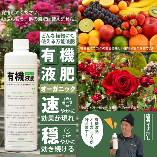 肥料 有機 液肥 【有機液肥 オーガニック】 500ml 肥料 野菜 花 園芸用品 ガーデニング 雑貨●液肥 「有機液肥オーガニック」の特長どんな植物にも好まれる、最強の万能液肥！豊富に含まれるアミノ酸の働きによって、新根も多く出て株が充実...