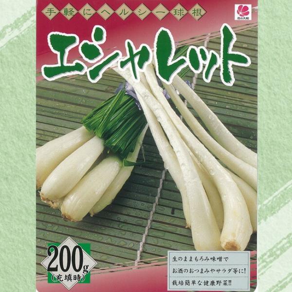 【発売日：2026年08月04日】●品種の特徴ラッキョウの収穫時期を早めて、若くてやわらかい時期に収穫したものを国内では「エシャレット」と呼び、最近ではデパートでも見かけるようになってきています。ラッキョウほどニオイが強くなく辛みも少ない、...