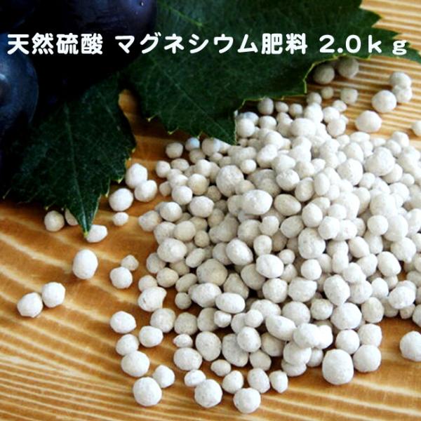 天然硫酸マグネシウム肥料 【植物の葉緑素に Good Job】内容量：2.0kg主な成分：水溶性苦土 （ph6.2〜6.8の弱酸性）成分保証：成分保証：水溶性苦土 24.0%使用用途：果樹、花木、バラ、野菜類などの元肥・追肥としてお使いくだ...