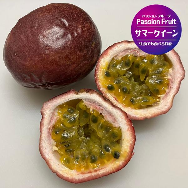 【発売日：2026年03月28日】●品種の特徴「サマークイーン」はパッションフルーツの赤実系品種です。実は丸形〜卵形で果重は約80g程度と小実ながら果肉が多く、甘くてとてもおいしい。実付きがよく、糖度は17度くらいです。自家結実しますが、人...