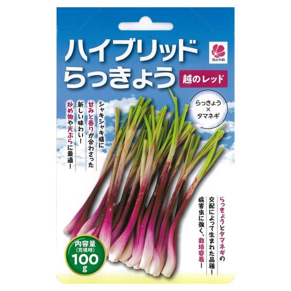 【発売日：2026年08月04日】●品種の特徴「越のレッド」は在来ラッキョウと淡路中高黄タマネギ交配により生まれた世界初のハイブリッドラッキョウです。病害虫に強く、栽培しやすいです。外皮は透き通ったきれいな赤紫色で、シャキシャキした食感を持...