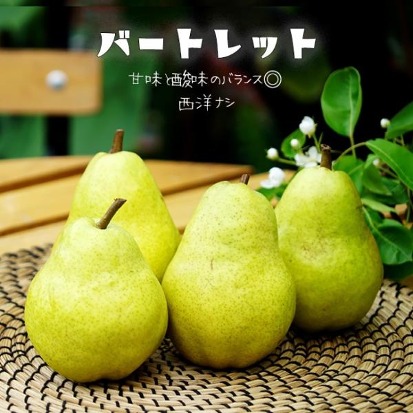 ●品種の特徴この品種、元々原産国のイギリスでは、別の名前で育てられていました。しかし、この梨の木がアメリカに輸入、栽培されていた農場を、その後に購入したエノク・バートレット氏が、その梨の木のルーツを知らなかったため、梨の名前に自分の名前を付...