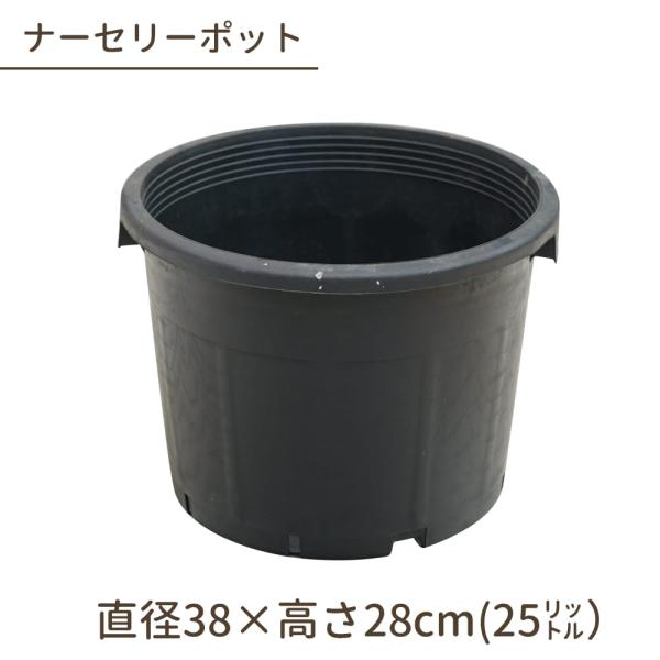 ●品種の特徴世の中にポットは沢山販売されています。その中で、苗木部が自信を持ってオススメするのが生産農家さんが繰返し愛用するナーセリーポットなんです！！！なぜ、生産農家さんが愛用するかと言うと！・立体底穴だから直根が出にくく直置き栽培可能・...