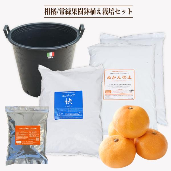 おいしい果樹苗を自宅で育てたい！でも、果樹栽培って難しそう・・・。そんな不安を解決します！ガーデニング初心者にこそ楽しんでいただきたい「果樹栽培」を、鉢植えで簡単に始められるセットをご用意しました！もちろん果樹栽培経験者の方でも納得のプロ御...