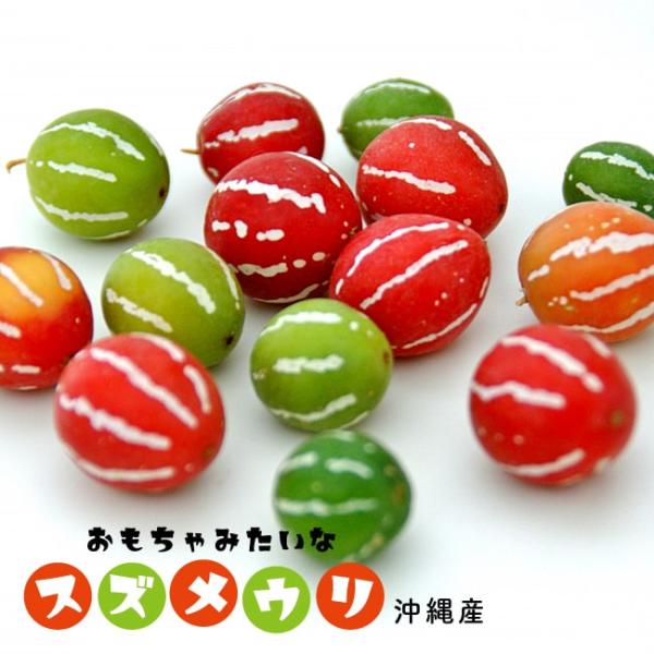 【発売日：2026年04月30日】●品種の特徴沖縄スズメウリは沖縄に自生しています。直径1〜2センチの小さな実がなります。果実が緑、黄色、赤と色が変わっていきます。緑のカーテンに人気で、ちゅらウリ、おもちゃウリなどとも呼ばれています。果実は...