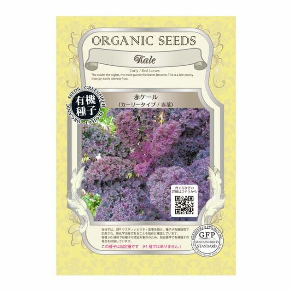 ●品種の特徴こちらは寒さにあたると赤色が増してくるケールです。大株に育てて、寒さにあたったころに収穫するのがベストです。寒くなる前の収穫は、茎部が赤いケールですが、寒さにあてるほどに甘みが増します。炒め物や、ケールチップスなど、油と相性が良...