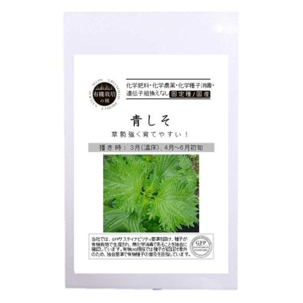 ●品種の特徴一口食べると爽やかな香りが口に広がる紫蘇（しそ）。青しそは別名大葉でも知られています。刺し身のツマや料理の香りづけに昔から愛されてきた野菜です。日本の気候によく合い、手間をかけなくてもすくすくと育ってくれます。一株あると嬉しい家...