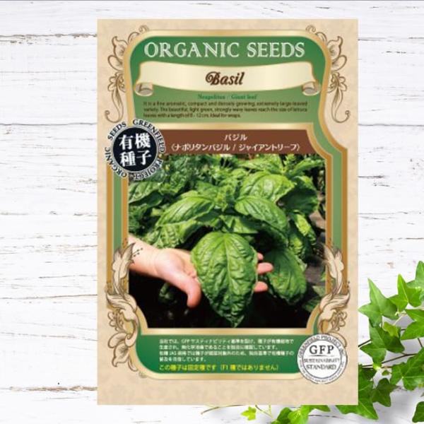 ●品種の特徴「ナポリタンバジル」は別名、ジャイアントリーフとも呼ばれ、10cm以上にもなる大きな葉をつけることが特徴です。イタリア料理との相性も抜群な香り高いハーブで、コンパクトに密に育ちます。大きな葉なので散らして使うだけではなく食材を包...